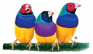 ViewSonic Releases New 70-inch Interactive Display